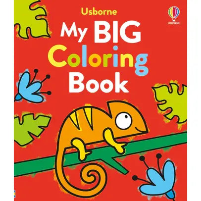 Usborne My Big Coloring Book – Park Street Books & Toys